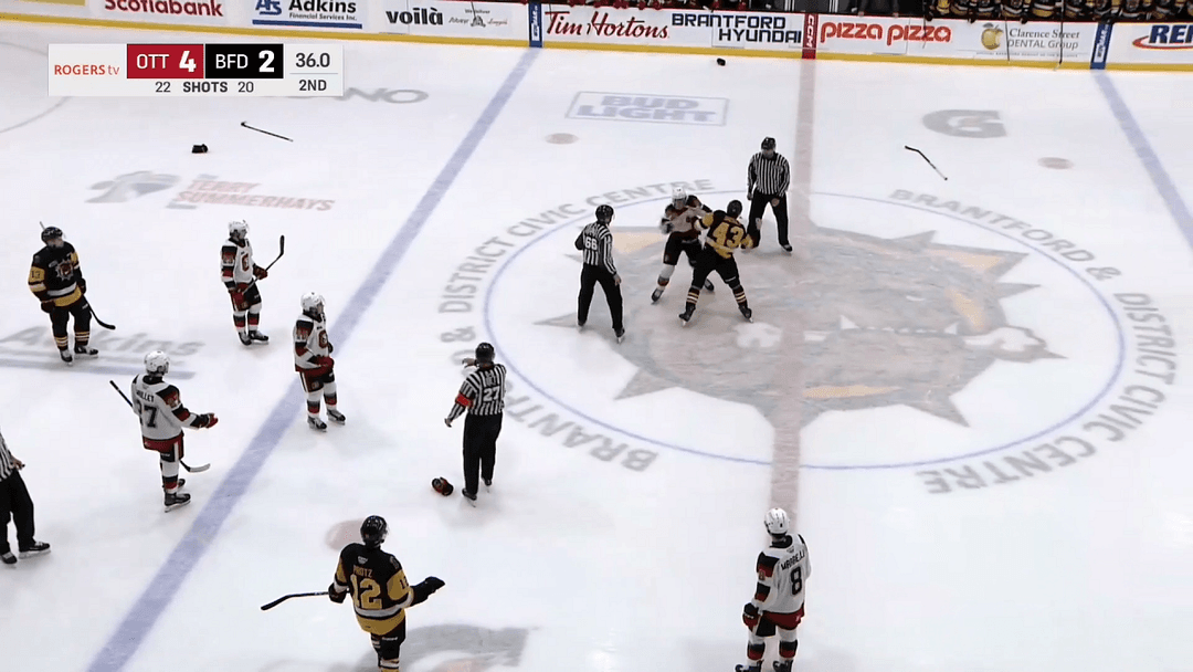 Florian Xhekaj () | HockeyFights