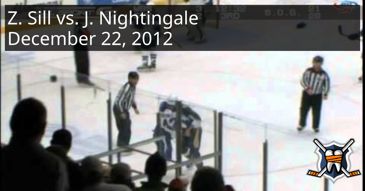 Zach Sill vs. Jared Nightingale, December 22, 2012 - Wilkes-Barre ...
