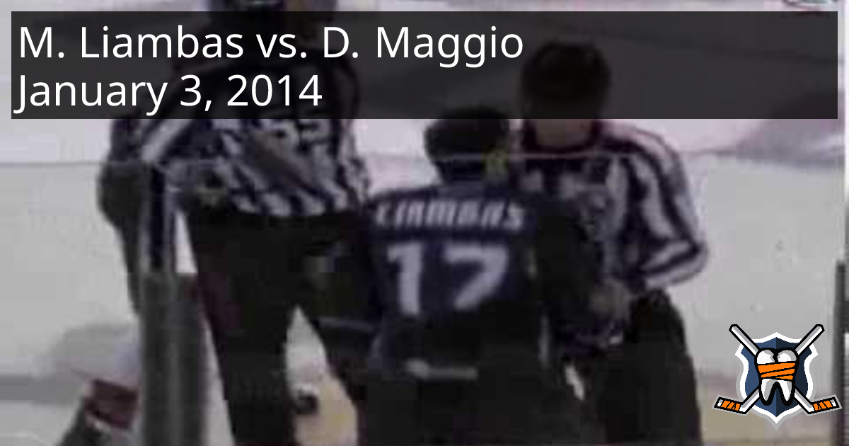 Mike Liambas vs. Daniel Maggio, January 3, 2014 - Milwaukee Admirals vs ...