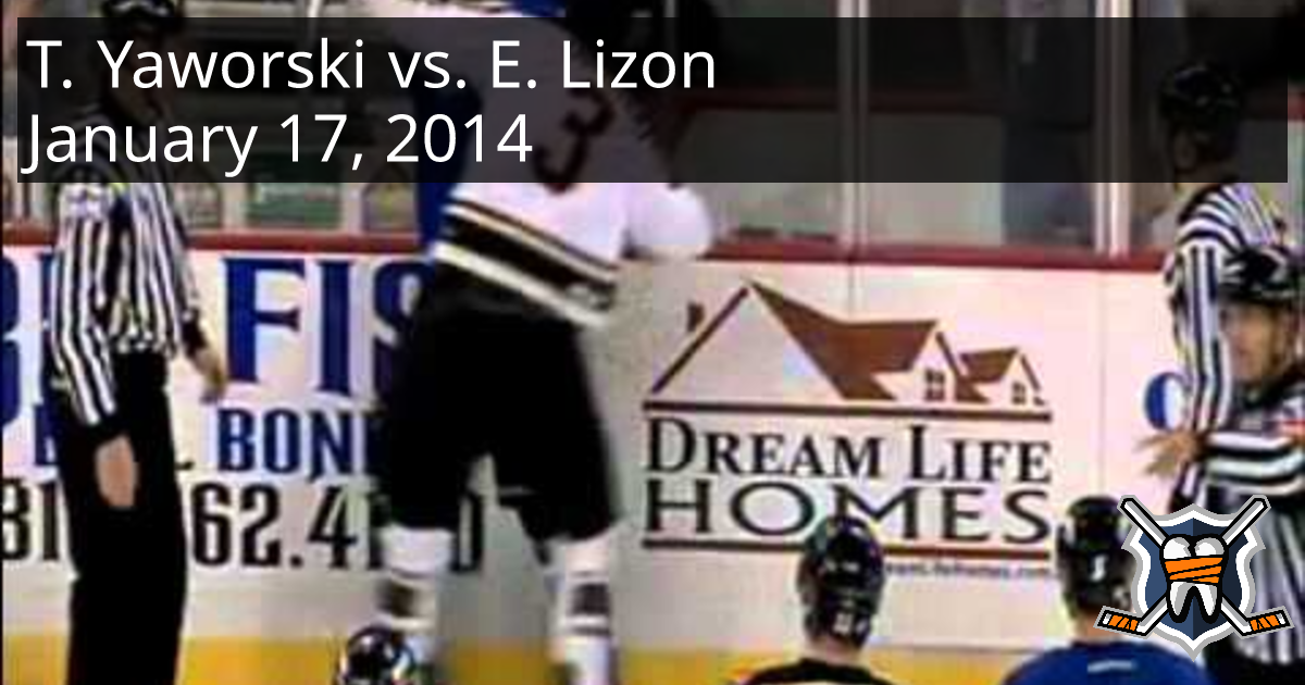 Tyler Yaworski vs. Erick Lizon, January 17, 2014 - Quad City Mallards ...