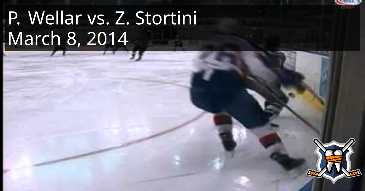 Patrick Wellar vs. Zack Stortini, March 8, 2014 - Hershey Bears vs ...