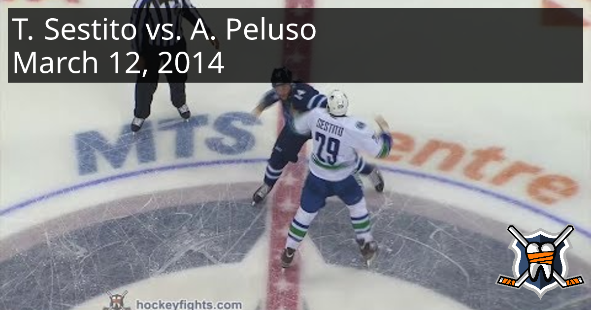 Tom Sestito vs. Anthony Peluso, March 12, 2014 - Vancouver Canucks vs ...