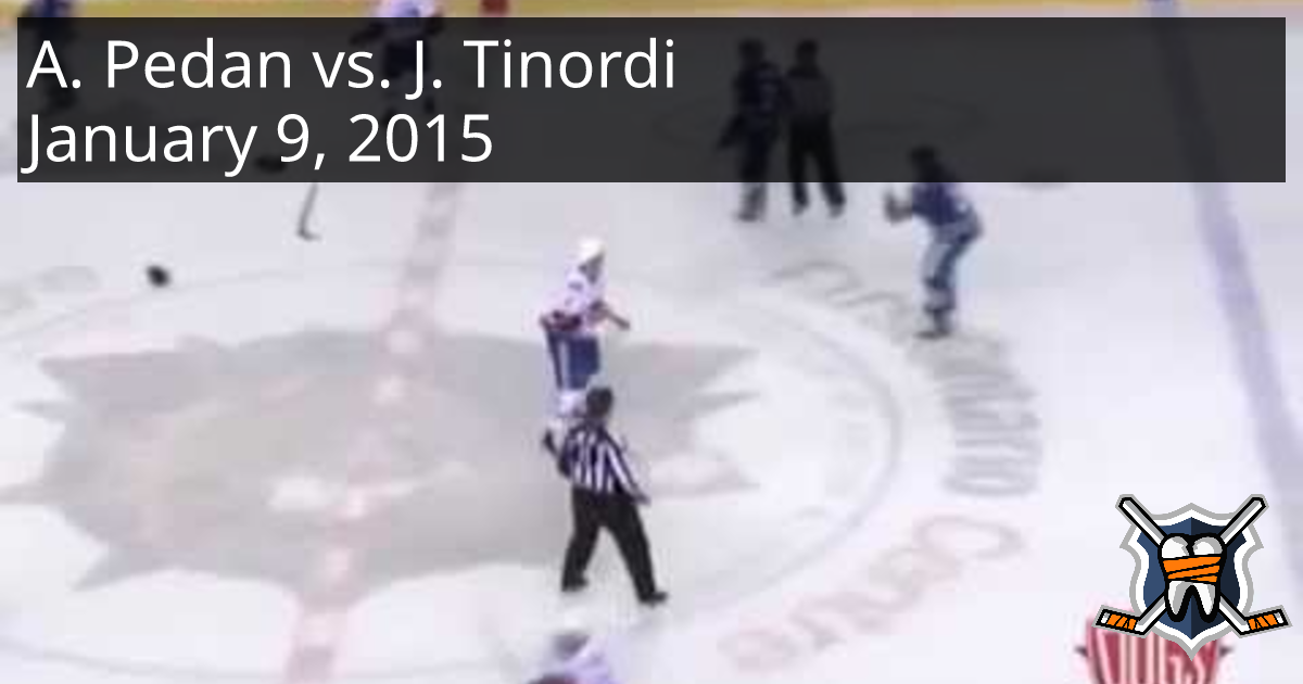 Andrey Pedan vs. Jarred Tinordi, January 9, 2015 - Utica Comets vs ...