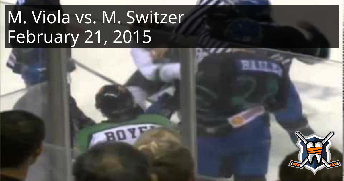Matt Viola vs. Mike Switzer, February 21, 2015 - Louisiana IceGators vs ...