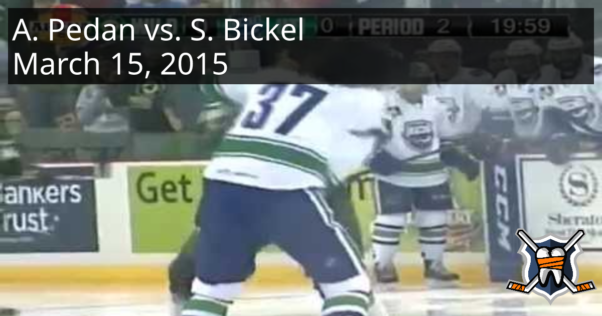Andrey Pedan vs. Stu Bickel, March 15, 2015 - Utica Comets vs. Iowa ...