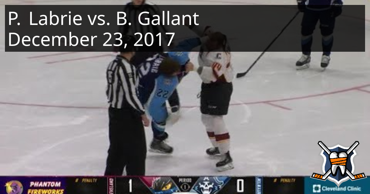 Pierre-Cedric Labrie vs. Brett Gallant, December 23, 2017 - Milwaukee ...