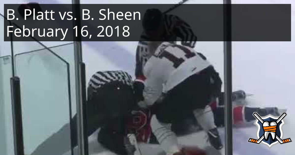 Bryce Platt vs. Barrett Sheen, February 16, 2018 - Regina Pats vs. Moose Jaw Warriors | HockeyFights