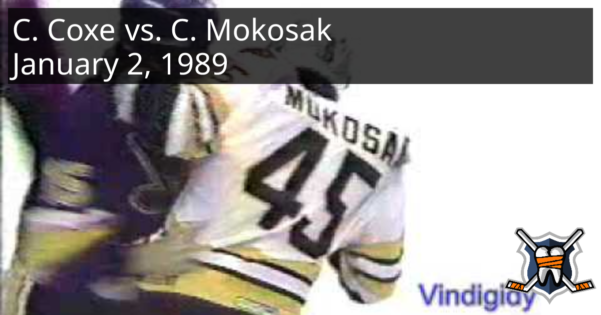 Craig Coxe vs. Carl Mokosak, January 2, 1989 - St Louis Blues vs ...