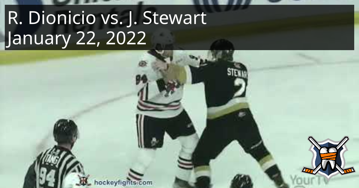 Rodwin Dionicio vs. Jackson Stewart, January 22, 2022 - Niagara IceDogs ...