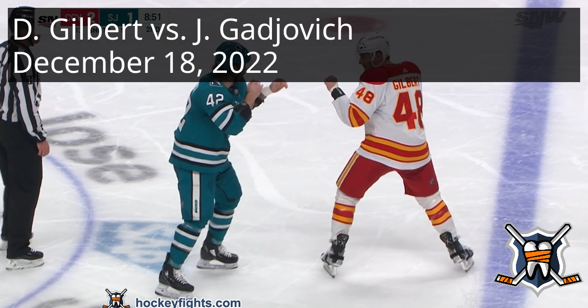 Dennis Gilbert vs. Jonah Gadjovich, December 18, 2022 - Calgary Flames ...