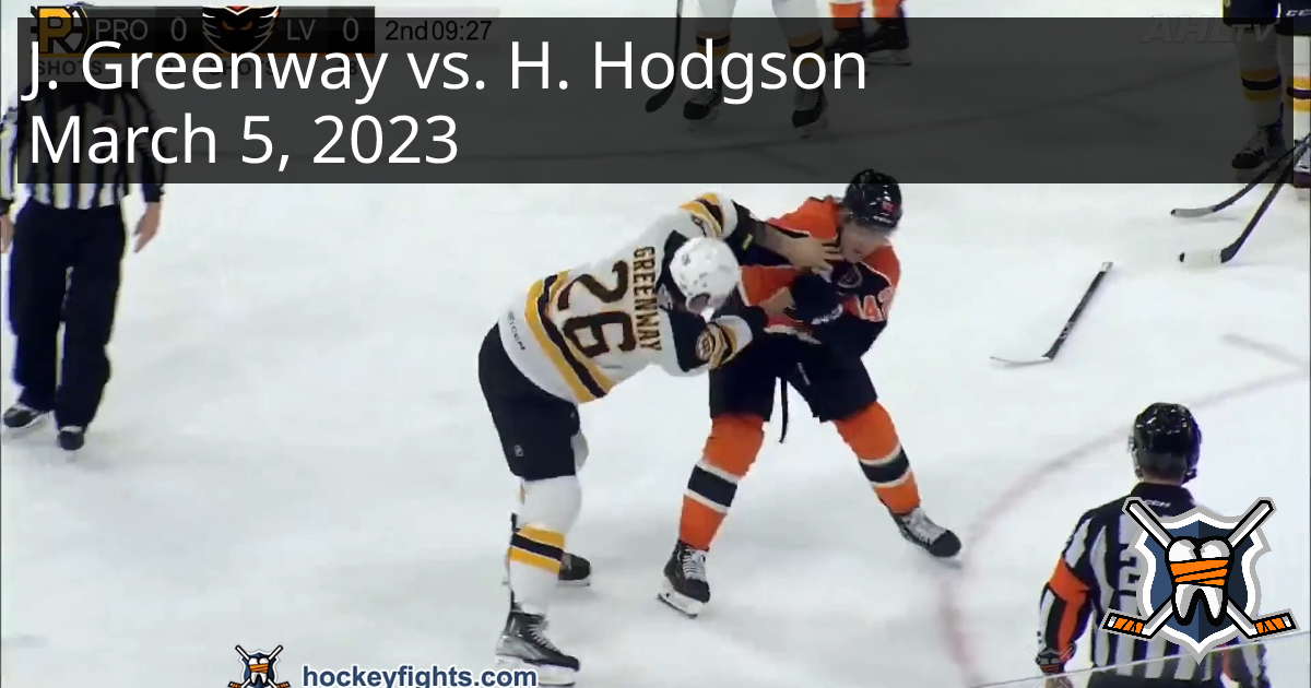 J.D. Greenway vs. Hayden Hodgson, March 5, 2023 - Providence Bruins vs ...