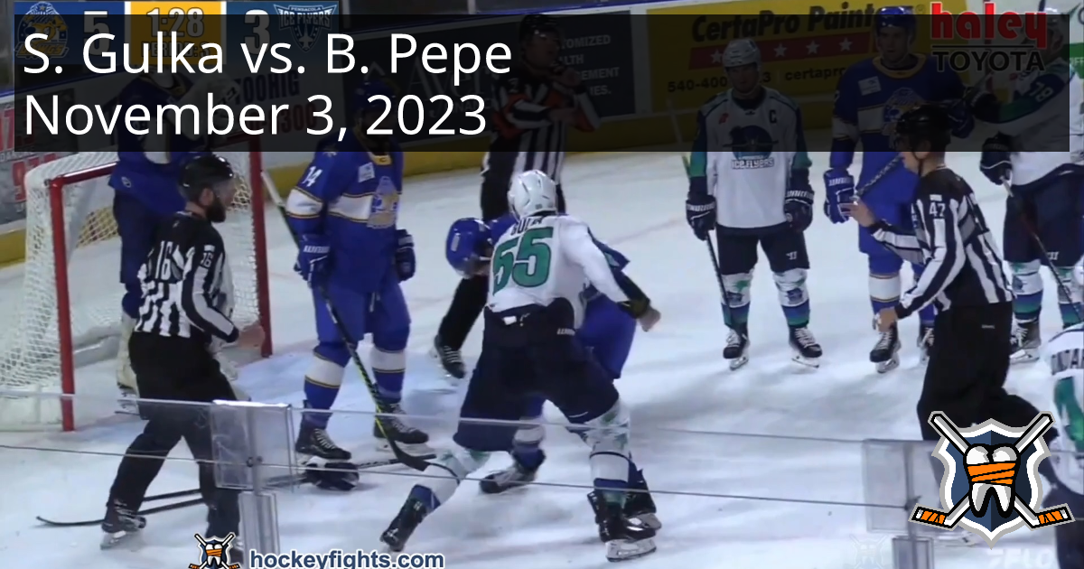 Sean Gulka vs. Brendan Pepe, November 3, 2023 - Pensacola Ice Flyers vs ...