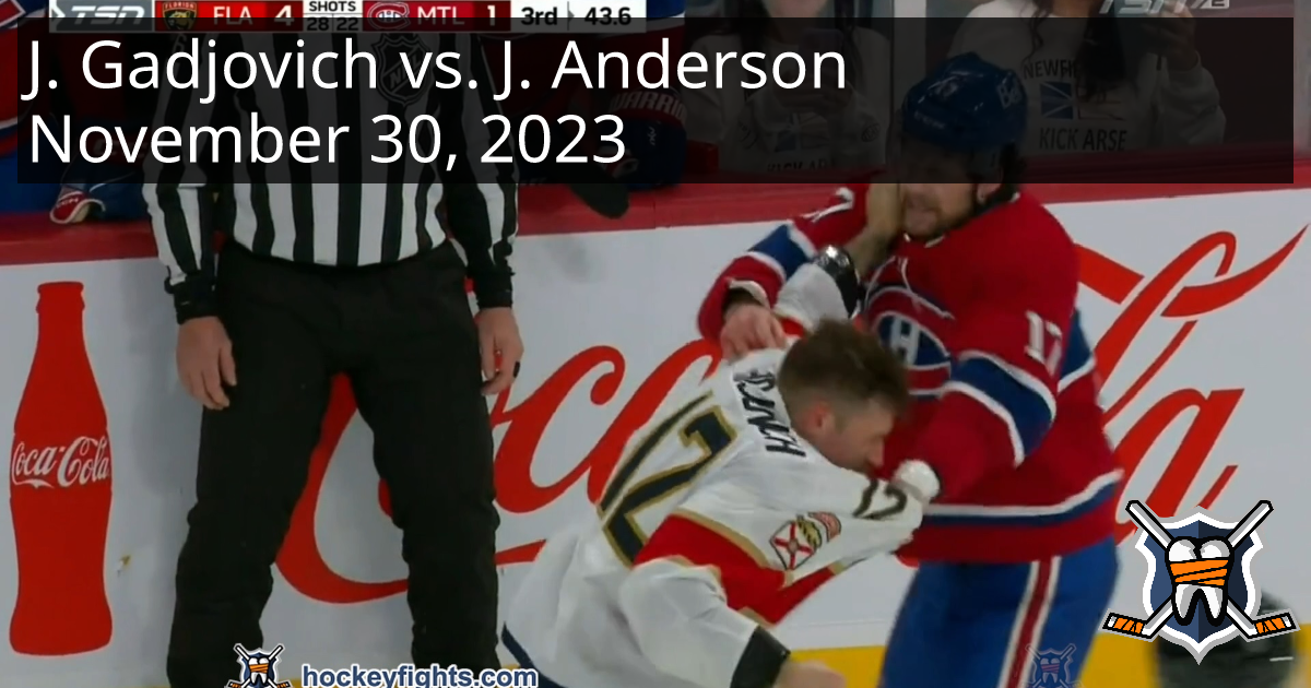 Jonah Gadjovich vs. Josh Anderson, November 30, 2023 - Florida Panthers ...