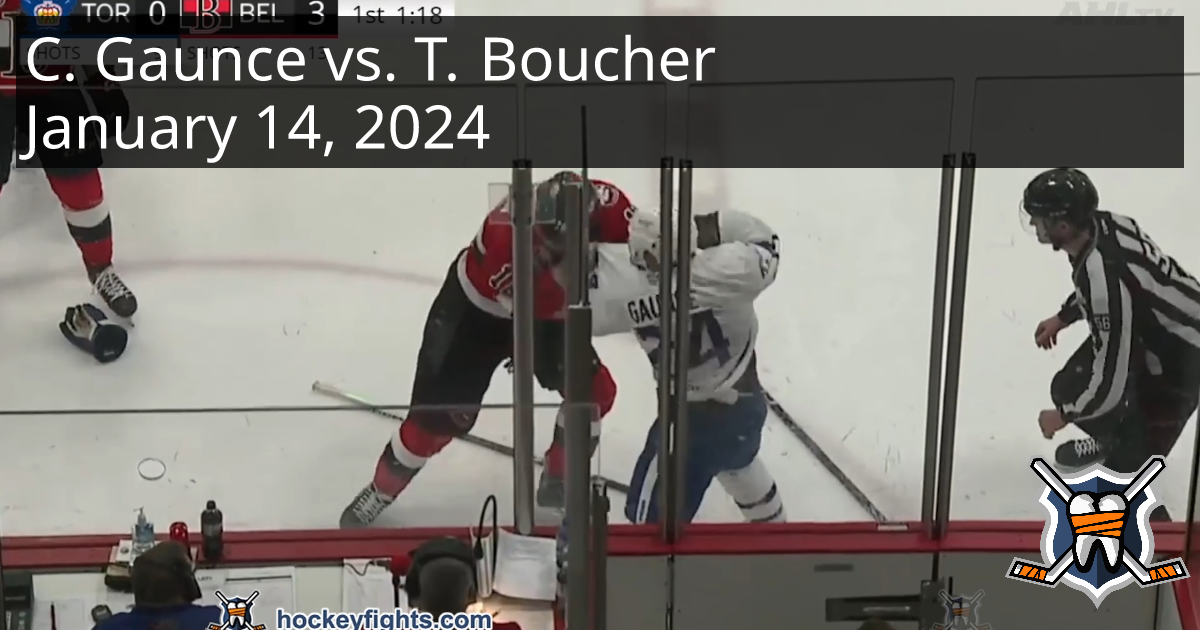 Cameron Gaunce vs. Tyler Boucher, January 14, 2024 - Toronto Marlies vs ...