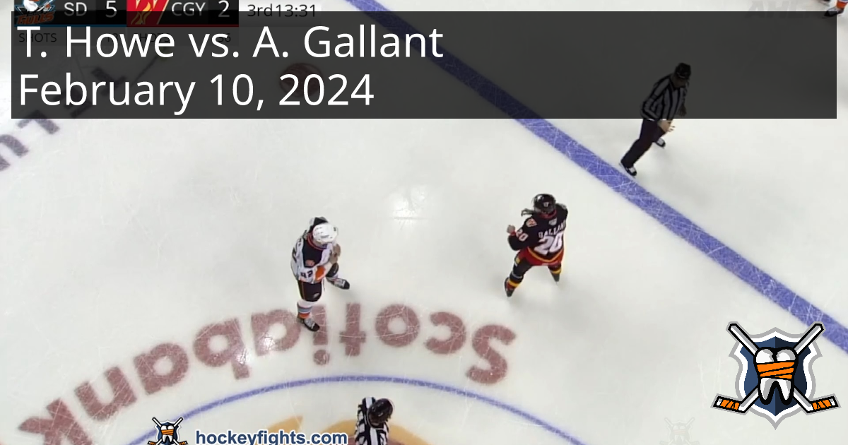 Travis Howe vs. Alex Gallant, February 10, 2024 - San Diego Gulls vs ...