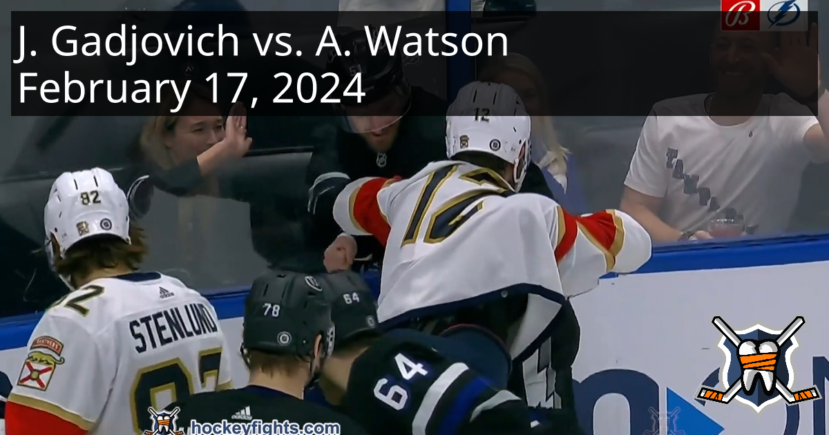 Jonah Gadjovich vs. Austin Watson, February 17, 2024 - Florida Panthers ...