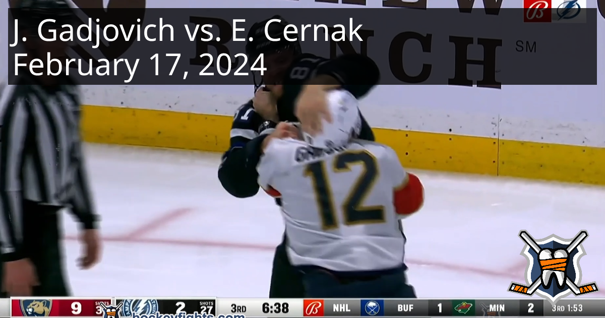 Jonah Gadjovich vs. Erik Cernak, February 17, 2024 - Florida Panthers ...