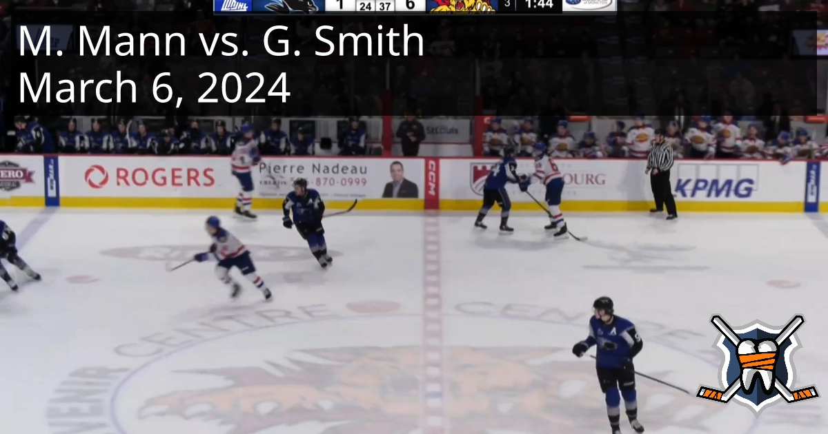 Matteo Mann vs. Gabe Smith, March 6, 2024 - Saint John Sea Dogs vs. Moncton Wildcats | HockeyFights