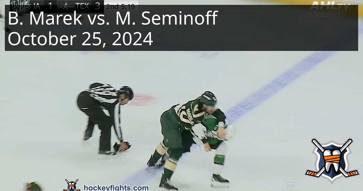 Bradley Marek vs. Matthew Seminoff, October 25, 2024 - Iowa Wild vs ...