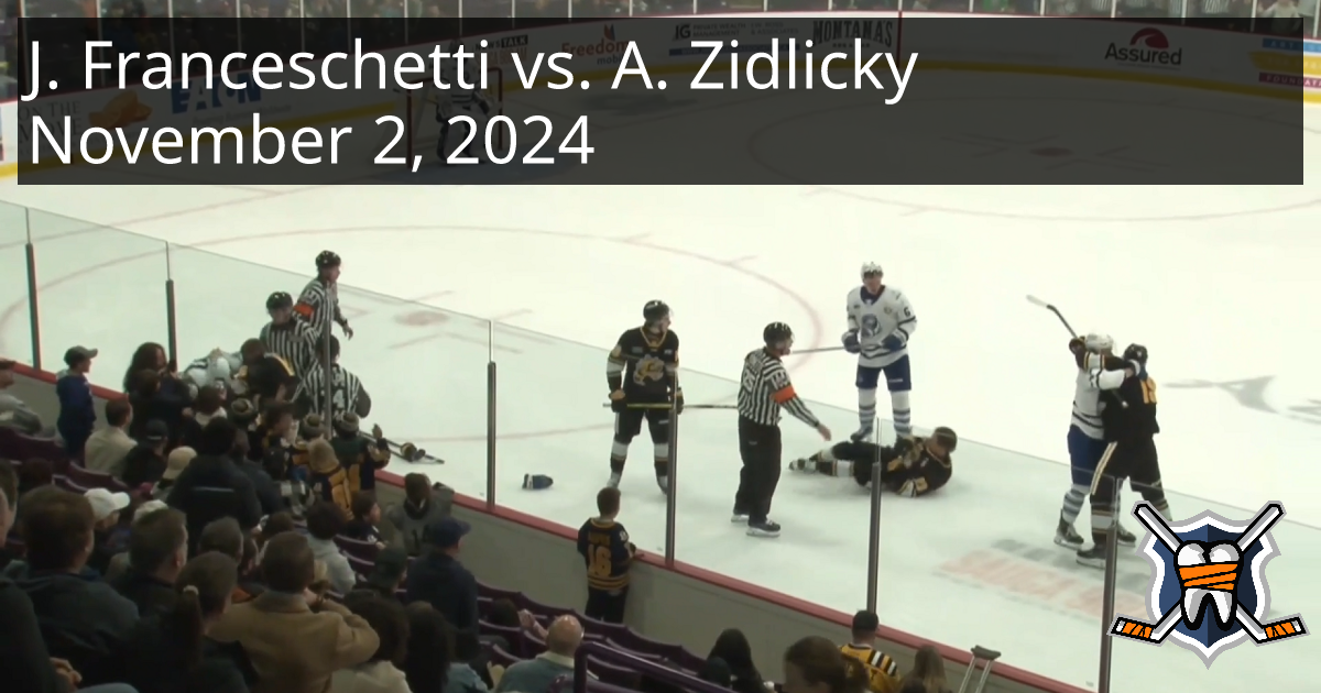 John Franceschetti vs. Adam Zidlicky, November 2, 2024 - Sarnia Sting ...