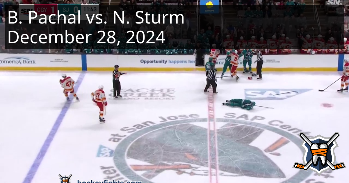 Brayden Pachal vs. Nico Sturm, December 28, 2024 - Calgary Flames vs ...