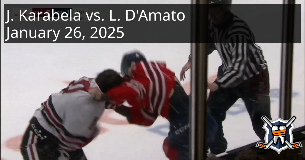 Jake Karabela vs. Luca D'Amato, January 26, 2025 - Guelph Storm vs ...