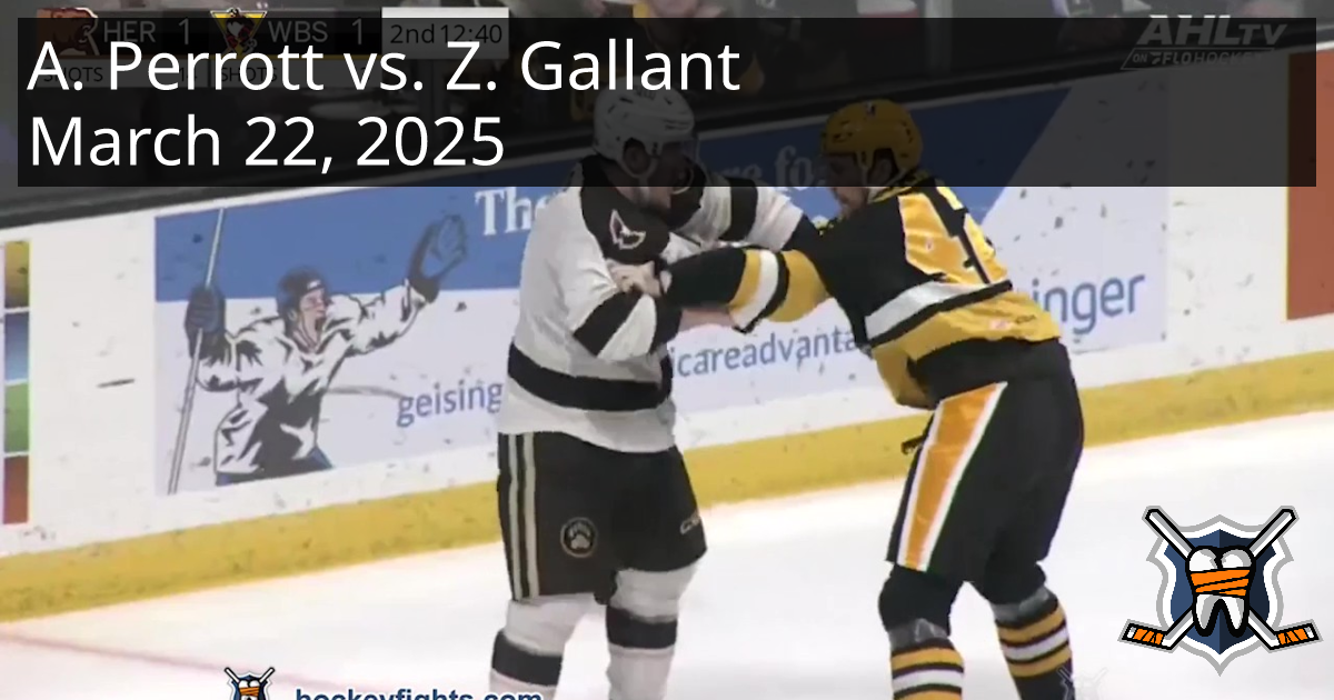 Andrew Perrott vs. Zach Gallant, March 22, 2025 - Hershey Bears vs ...
