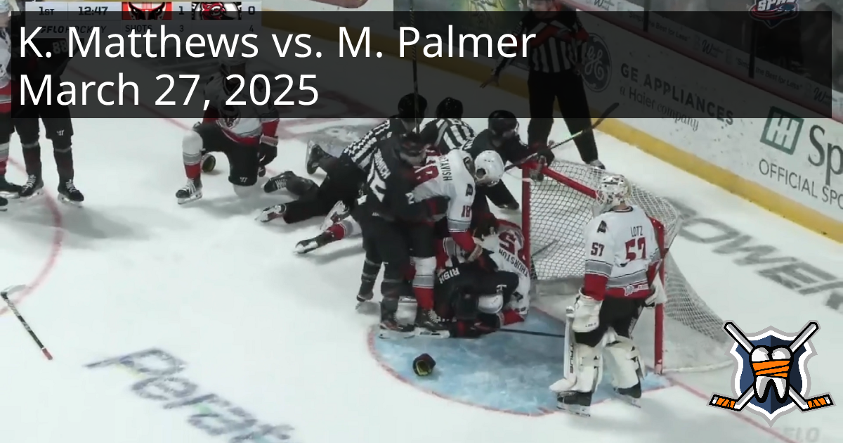 Kyler Matthews vs. Mason Palmer, March 27, 2025 - Birmingham Bulls vs ...
