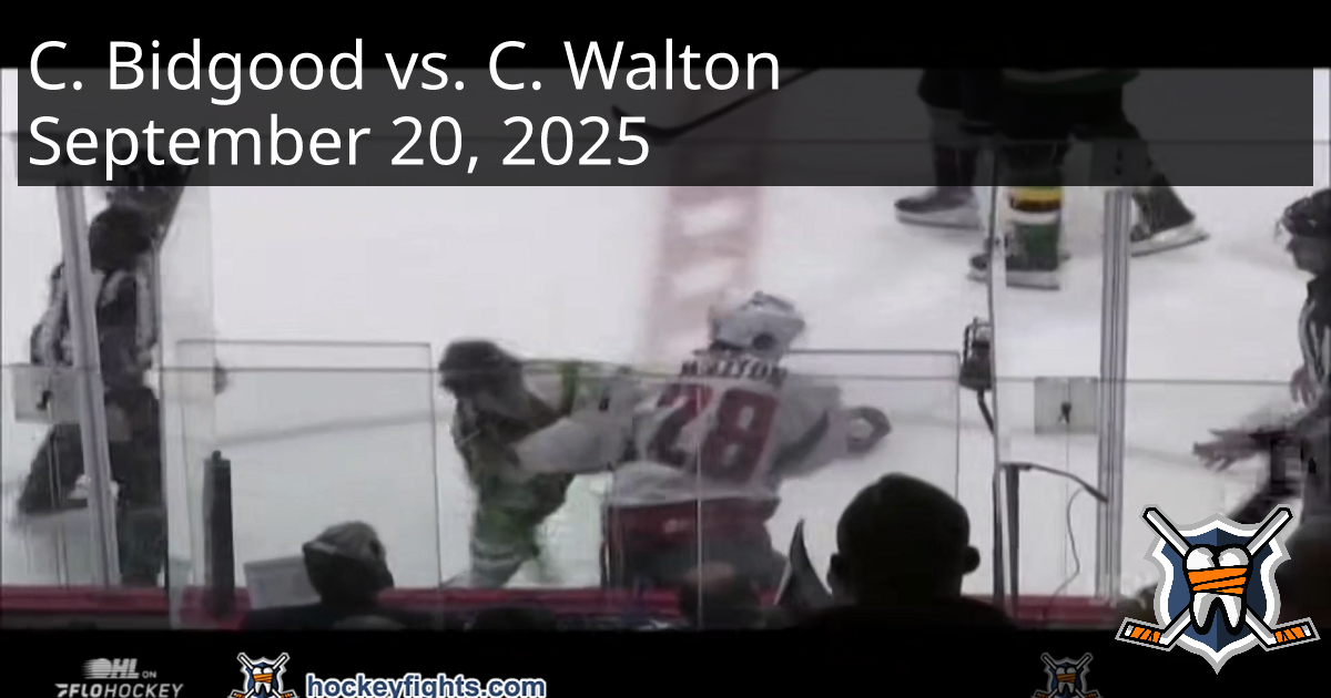 Cohen Bidgood vs. Conor Walton, September 20, 2025 - London Knights vs ...