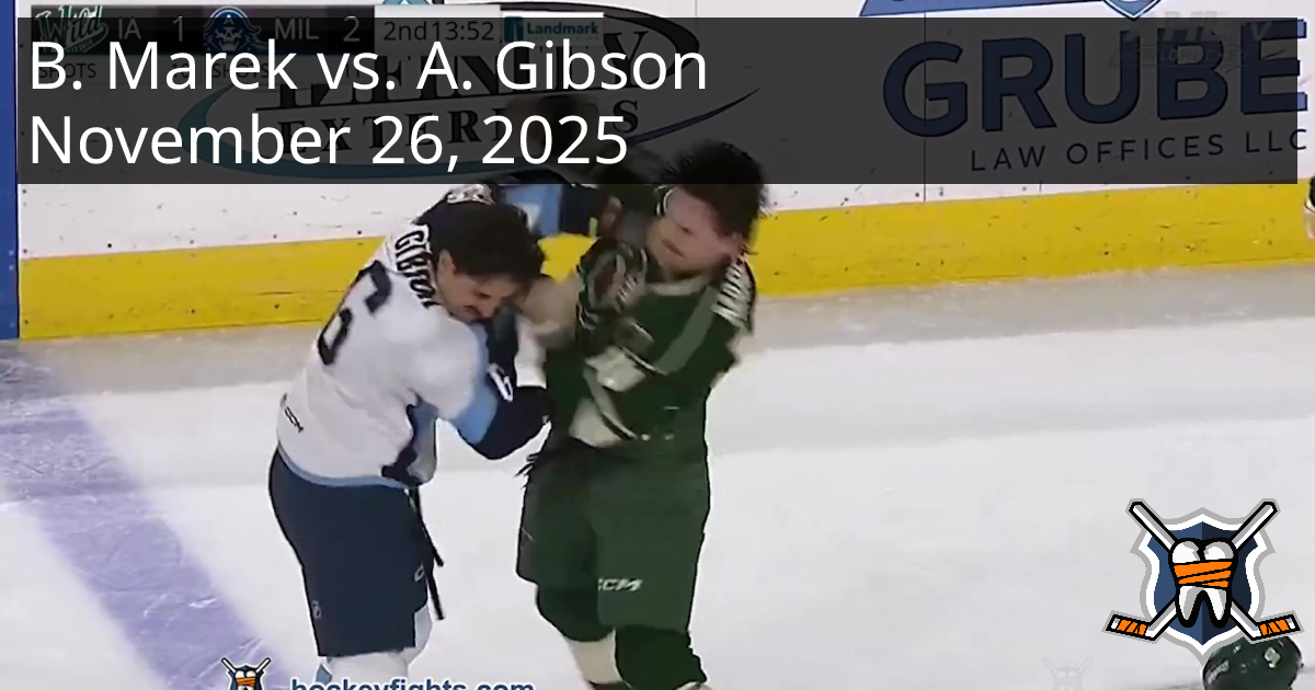 Bradley Marek vs. Andrew Gibson, November 26, 2025 - Iowa Wild vs ...
